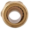 SharkBite Push to Connect 3/4 in. Push x 1 in. Dia. Male Brass Adapter ...