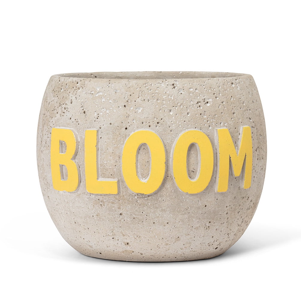 Set of 12 Large BLOOM Planter - Walmart.com