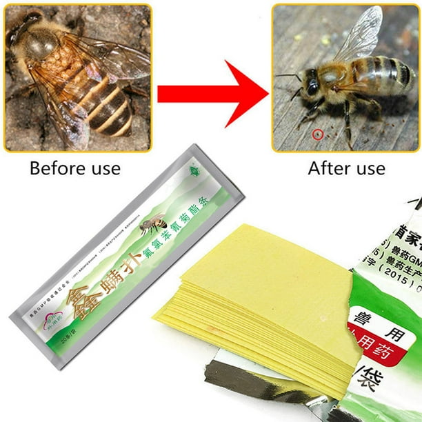 Mite Treatment Bees