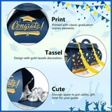 30 Pcs Graduation Candy Boxes 2024 Blue Congrats Grad Gift Box Treat ...