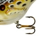 Rebel Frog-R Topwater Cricket Frog 2 3/8" 5/16 oz. - Walmart.com