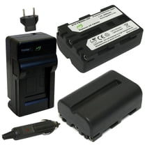 Replacement for Sony NP-FV30 Battery (2-Pack, 1200mAh) and Charger with ...