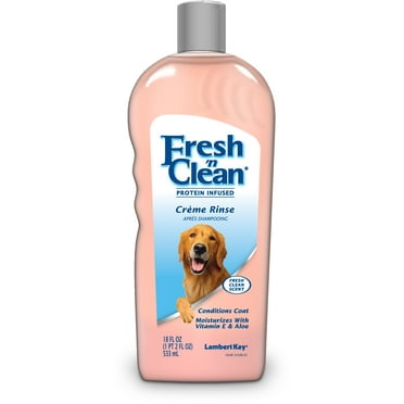 Fresh 'n Clean 2-in-1 Shampoo & Conditioner, Classic Fresh Scent, 18 oz ...