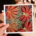3drose, Octopus,tsukiji Market, 1 Greeting Card with Envelope - Walmart.com
