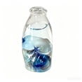 CaiTeLin Bottle Squeeze Stress Relief Fidget Toy, Soft Stretch Sensory ...
