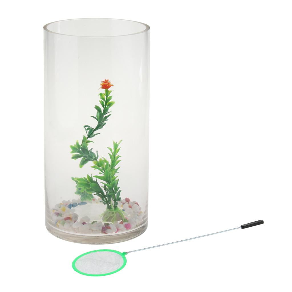Small ecosystem aquarium, cylindrical glass tank, fish tank, goldfish ...