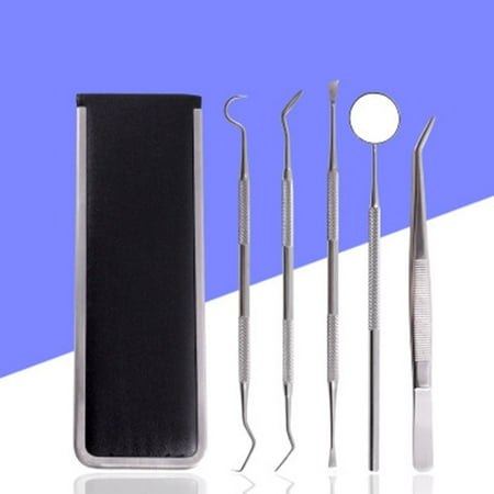 Dental Tools Dental Pick Dental Floss Stainless Steel Dental Hygiene ...