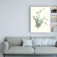 Trademark Fine Art 'Scented Sprig II Cool' Canvas Art by Danhui Nai ...