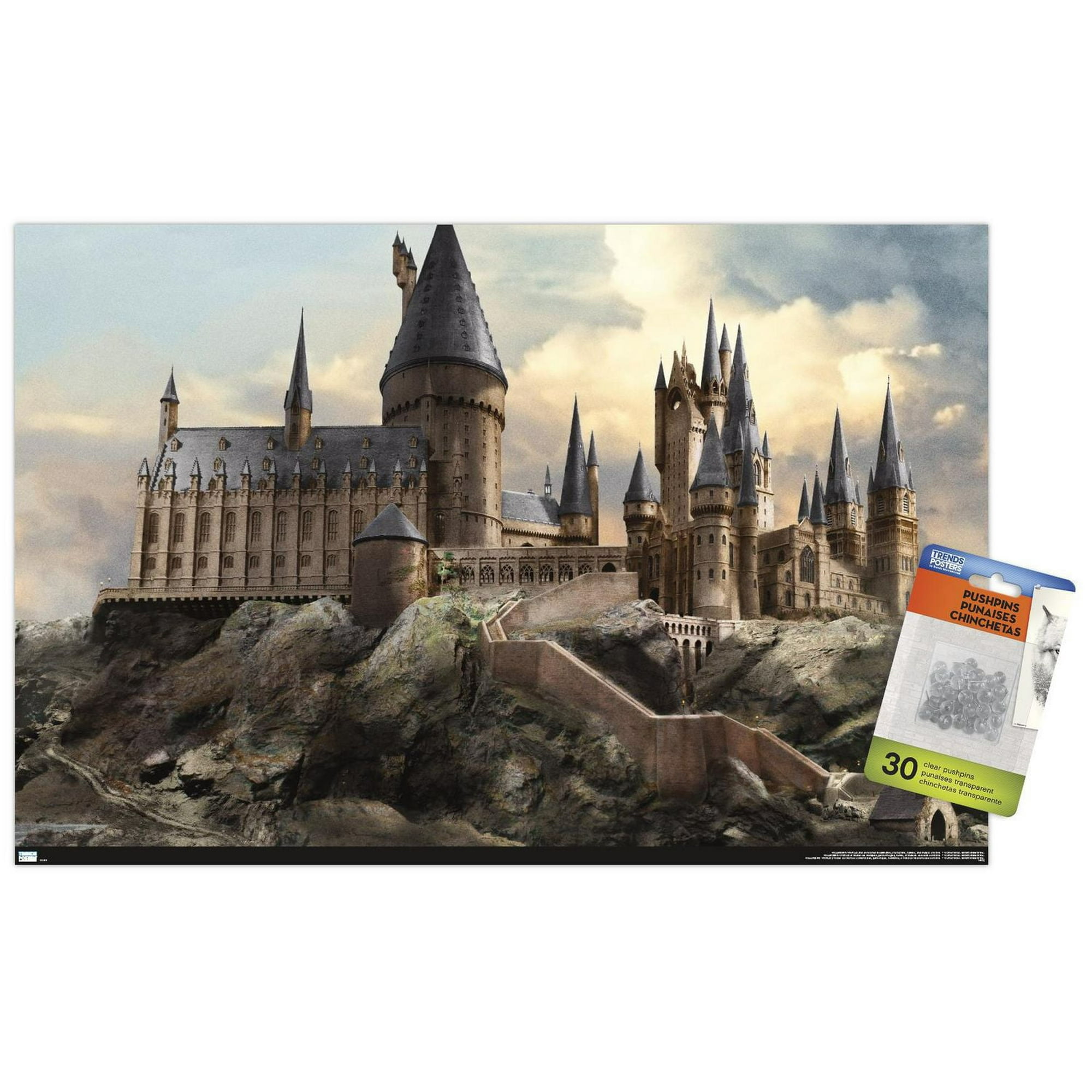 Click here for Trends International The Wizarding World: Harry Po... prices