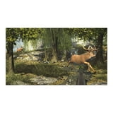 GAMEMILL ENTERTAINMENT Big Buck Hunter (PS4) - Walmart.com