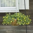CobraCo HGB14-W 14 in. Growers Style Hanging Basket - White - Walmart.com