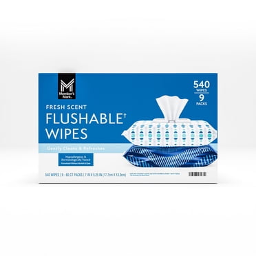 Member's Mark Premium Baby Wipes, Fragrance Free, 12 pk., 1152 Wipes ...