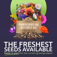 Wildflower Seeds Butterfly and Humming Bird MVR1 Mix - Large 1 Ounce ...