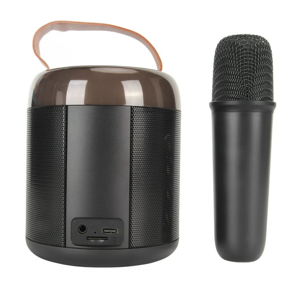 Small Family Karaoke, Portable BT Speaker, Home Karaoke Small Size Dual ...