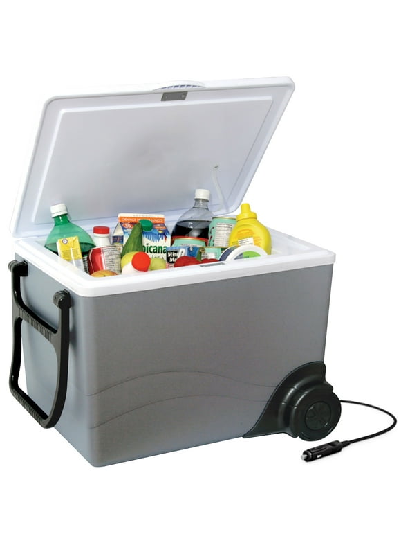 Thermoelectric Coolers in Coolers - Walmart.com