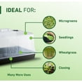 10x20 Humidity Dome with Propagation Trays – 10 Pack - Clone Tray with ...