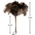14-Inch Genuine Natural Ostrich Feather Duster with Wooden Handle and ...