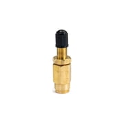 Schrader Valve Fittings