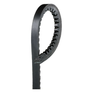 ACDelco K080991HD - Specialty Fleetrunner Heavy Duty V-Ribbed ...