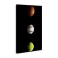 Stupell Industries Sports Balls Spotlight Canvas Wall Art, design by ...