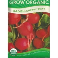 Pinto Premium F1 Series Geranium Flower Garden Seeds - Deep Scarlet ...