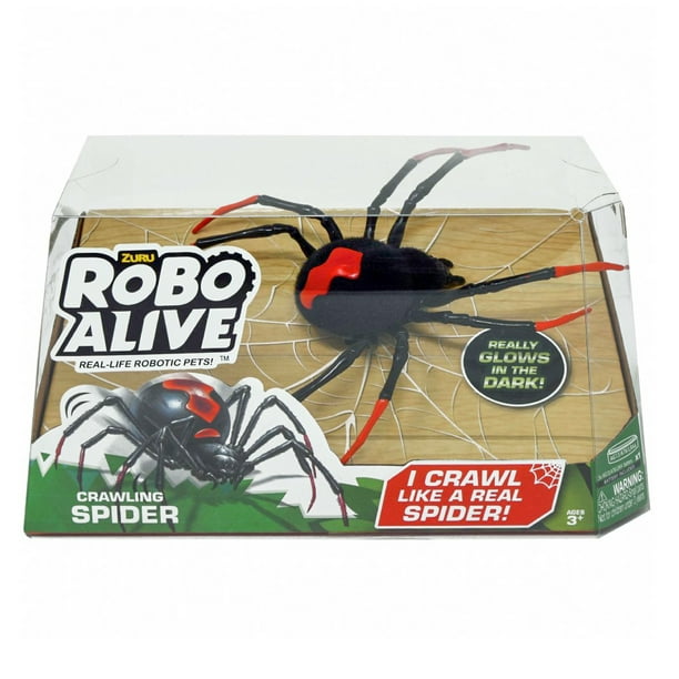 Spider Robotic