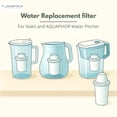 Nispira Water Filter Replacement Compatible with Nakii Aquaphor Water ...