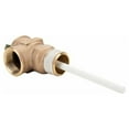 Camco 10471 - Temperature and Pressure Valve with Probe - Walmart.com