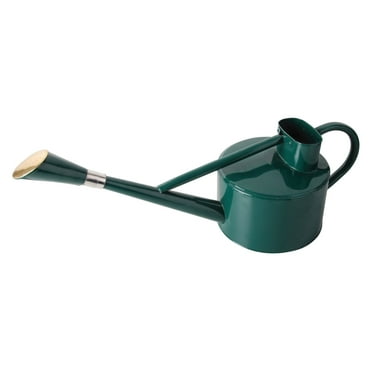 Esschert Design Stainless Steel Watering Can - Walmart.com
