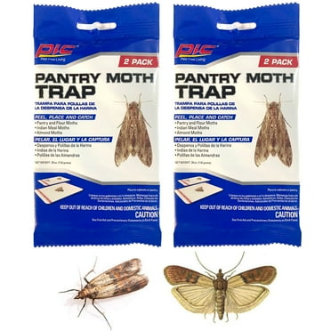 BugMD Pantry Pest Patrol (6 Count, Black) - Moth Traps for Kitchen ...