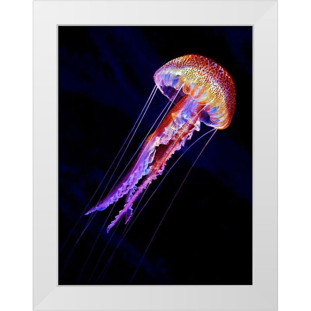 Jager, Henry 25x32 White Modern Wood Framed Museum Art Print Titled ...