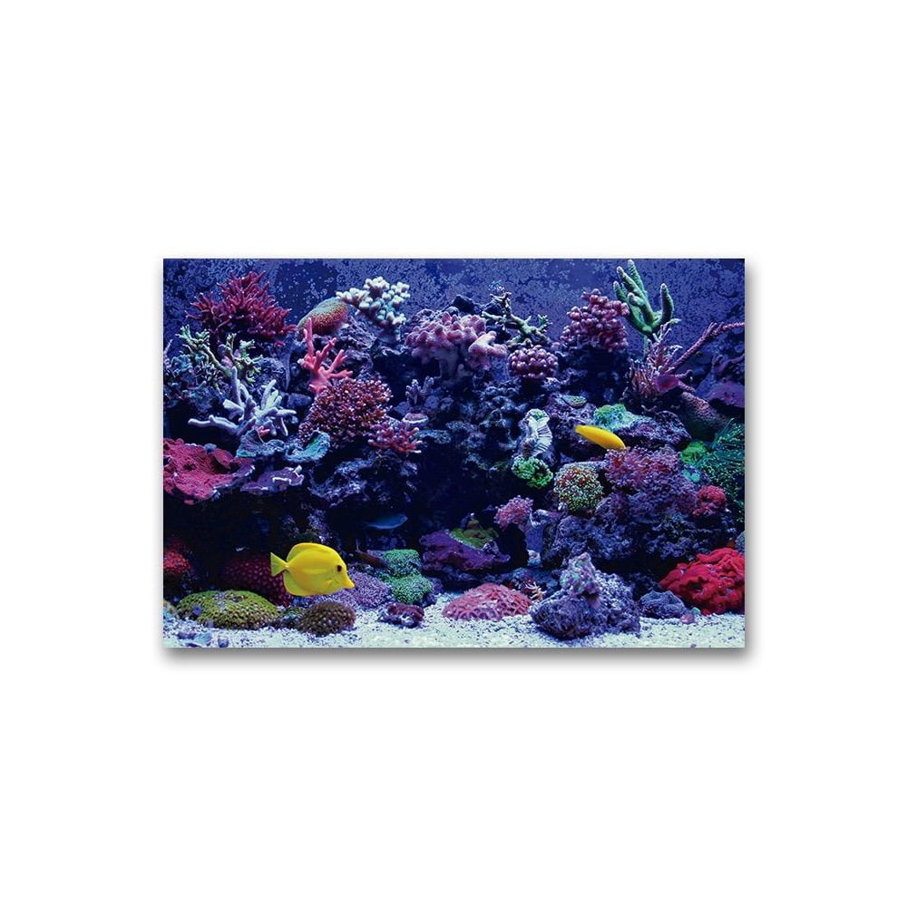 Amazing Coral Reef In Aquarium Poster -Image by Shutterstock - Walmart ...