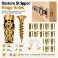 Hinge Repair Screw and Expansion Anchor Set - 6x14mm Short Dowels with ...