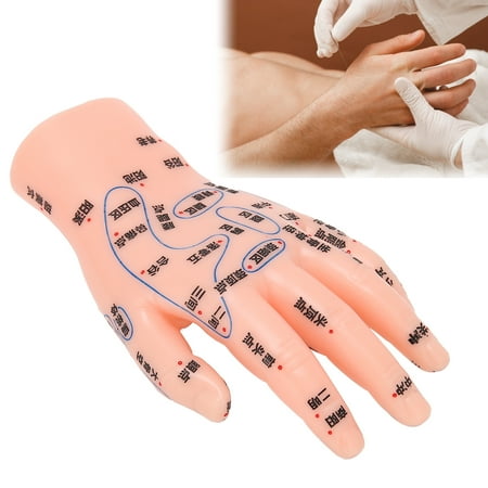 Peahefy Hand Acupoint Model,Hand Acupuncture Point Model,Left Hand ...