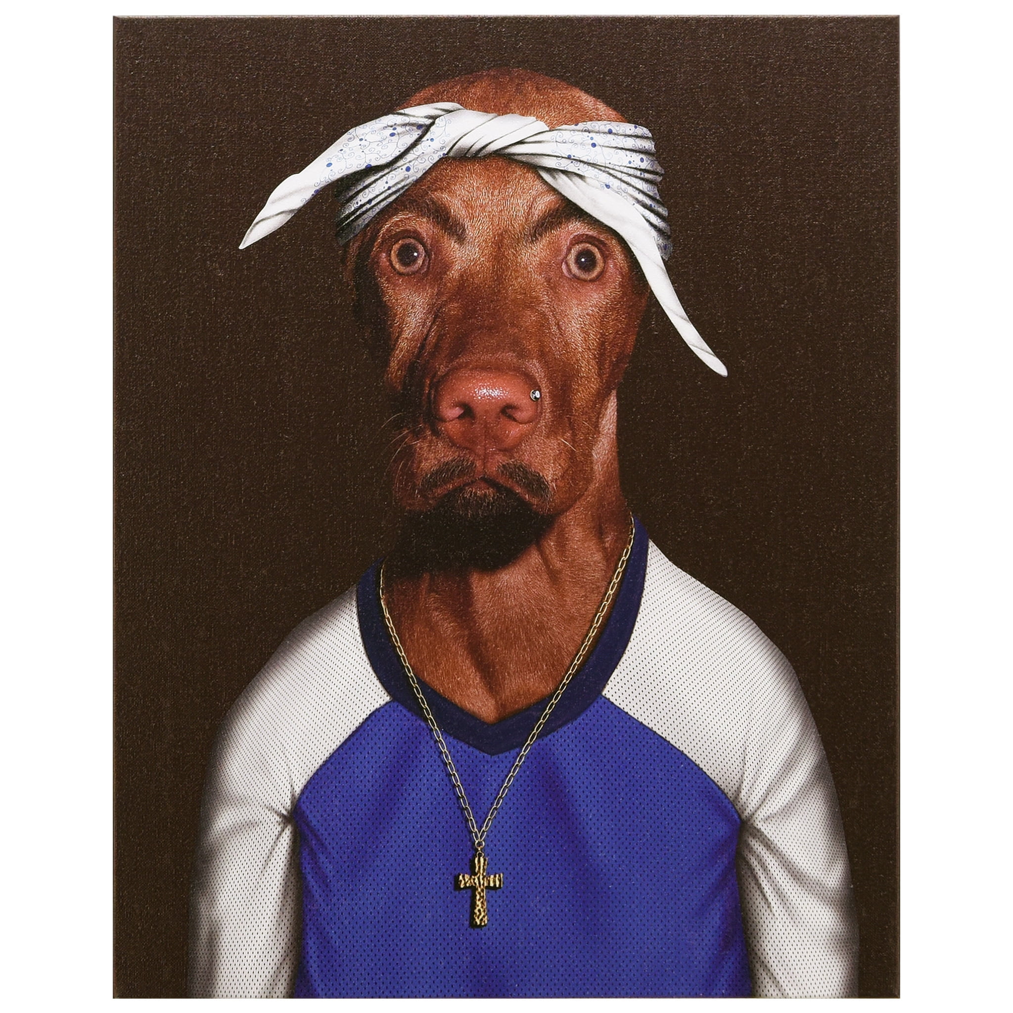 Empire Art Direct Pets Rock Two Rap Graphic Art on Wrapped Canvas Dog ...