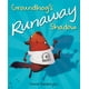 Groundhog's Runaway Shadow (Hardcover) - Walmart.com