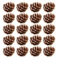kiskick 20Pcs Mini Decorative Fake Pine Cones, Small DIY Craft for Home ...