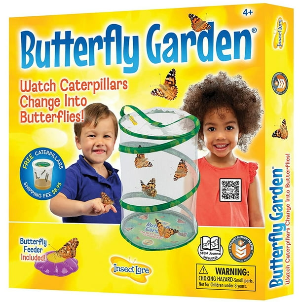 Live Butterfly Garden Kit