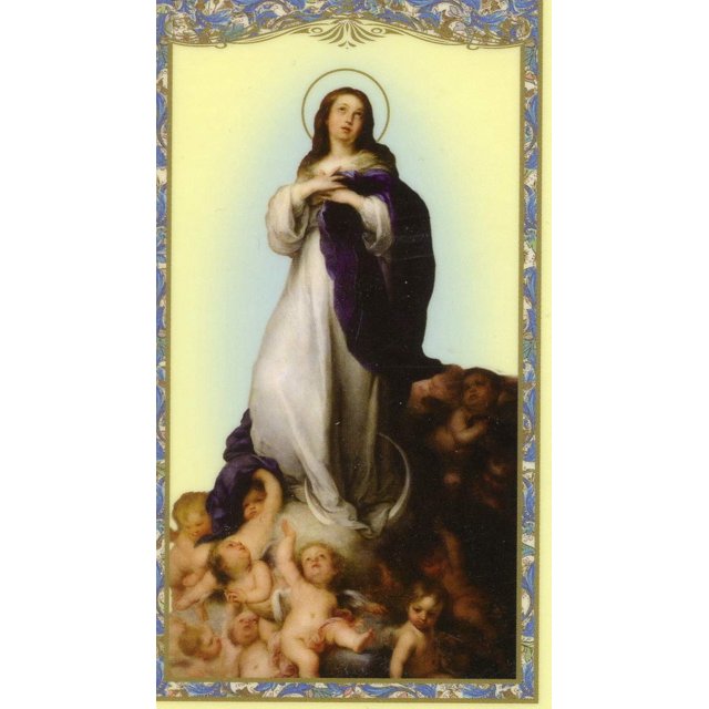 Our Lady of the Assumption holy card - laminated - Pack of 25 - Walmart.com