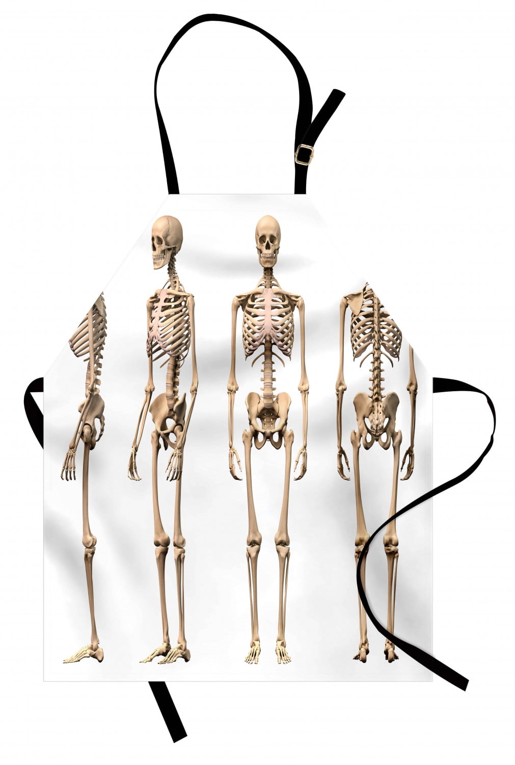 Human Anatomy Apron Man Male Human Skeleton Skull Different ...