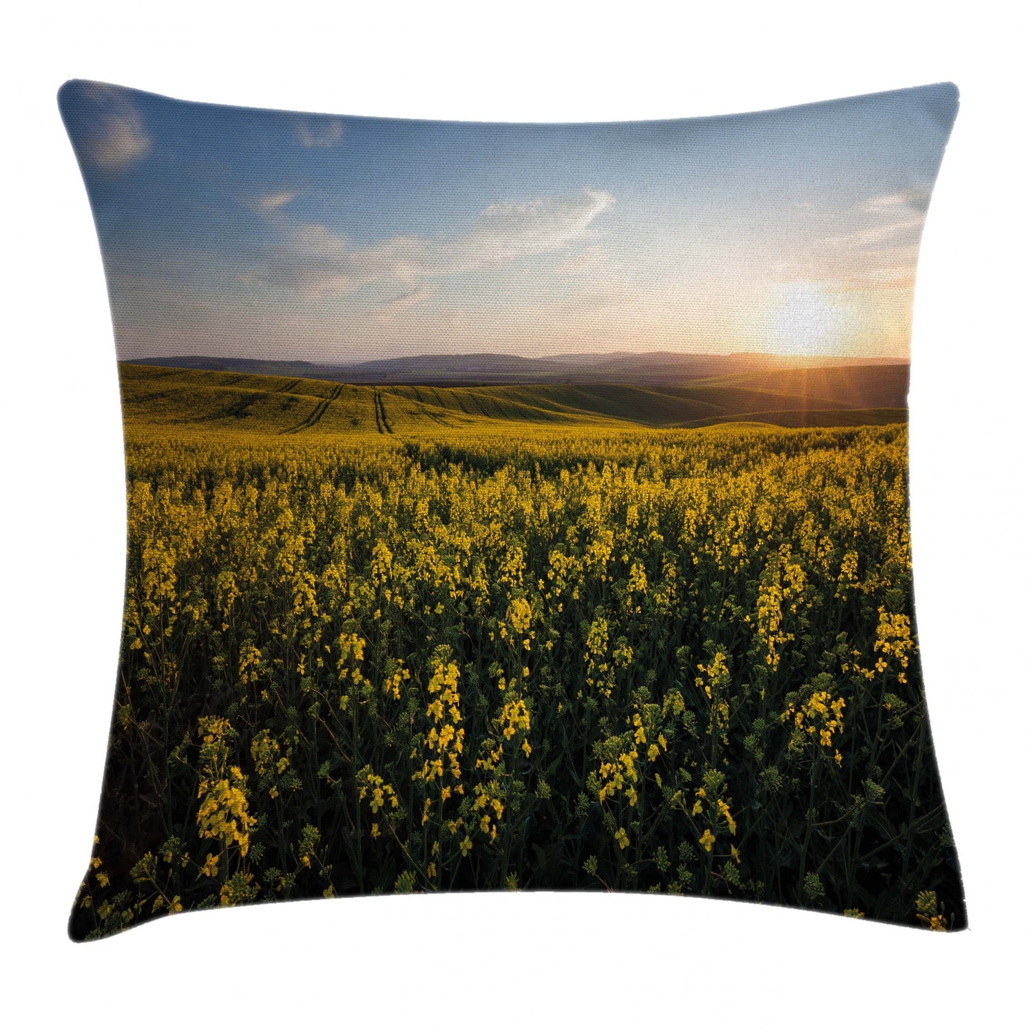 Landscape Throw Pillow Cushion Cover, Scenic View Sunset Flower Field ...