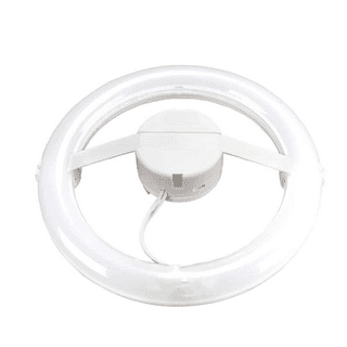 T6 Circular Light Bulb | Shelly Lighting
