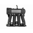 Skunk2 Pro Series 88-00 Honda D15/D16 SOHC Intake Manifold (Race Only ...