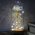 Enchanted Rose in Glass Dome - Galaxy Rose with Led Light String ...
