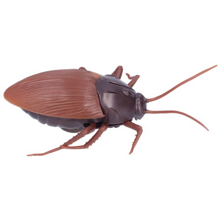 Herwey Remote Control Cockroach Portable Lifelike RC Roach Funny Prank ...