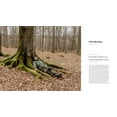 The Hidden Life of Trees: A Visual Journey into Forest Ecosystems ...