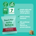 (2 pack) Beech-Nut Oaty Bites with Fruit & Whole Grains, Mixed Berry ...
