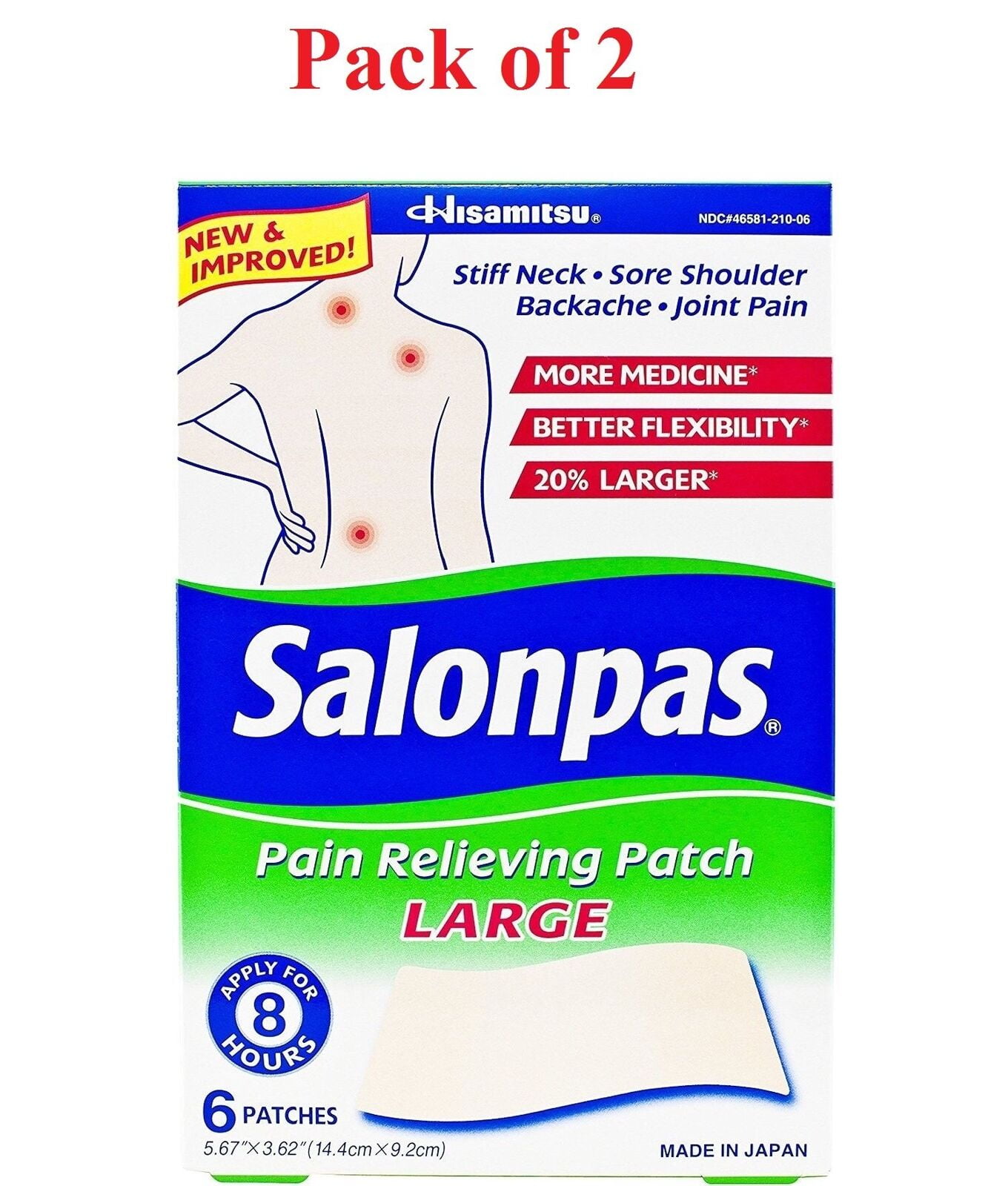 Salonpas Pain Relief Patch Large 6 ct 2 Pack - Walmart.com