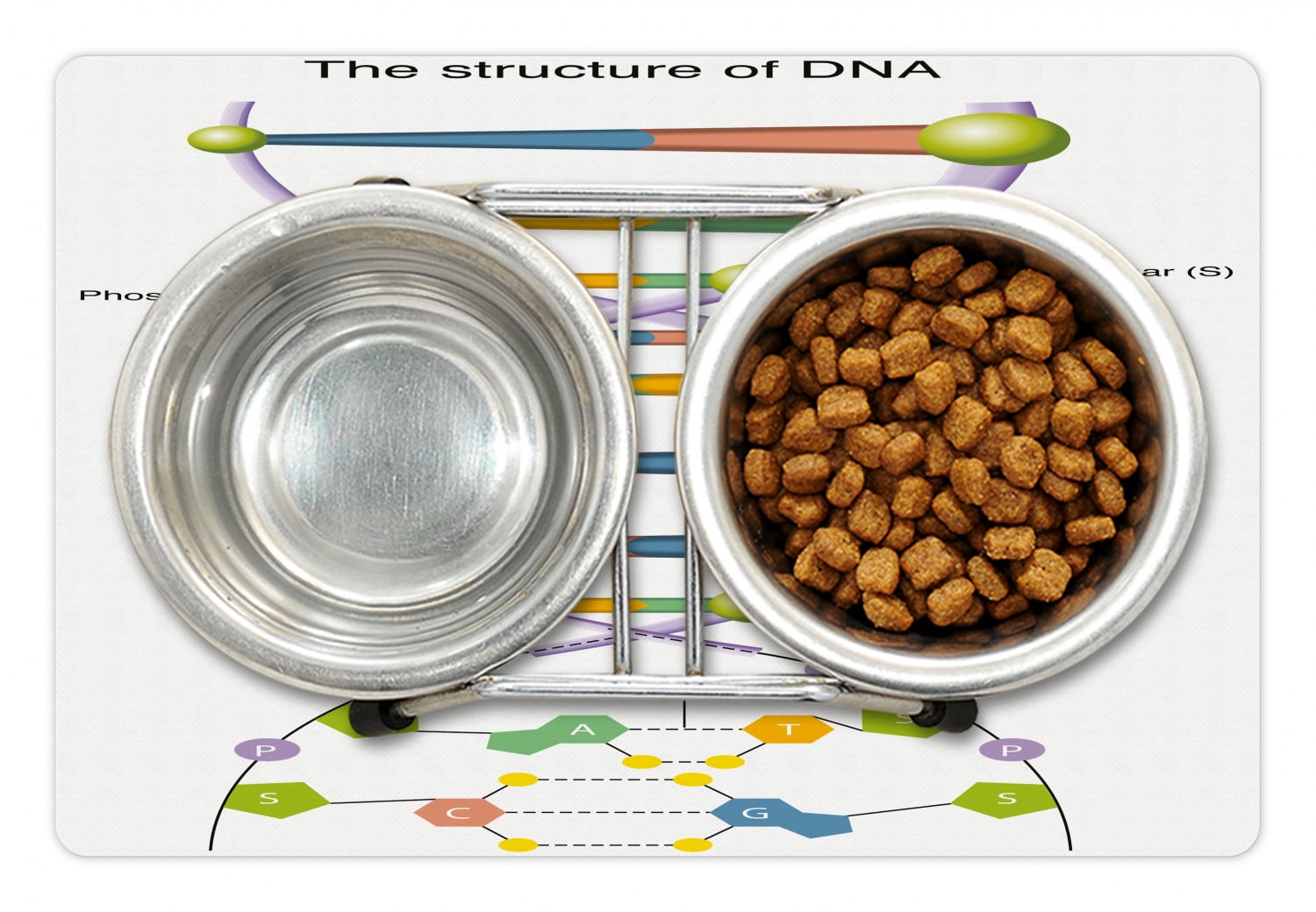 Educational Pet Mat for Food and Water, Colorful Structure of DNA ...