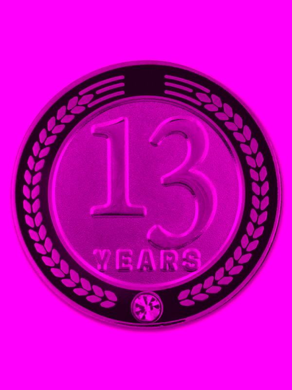 PinMart's 13 Years of Service Award Employee Recognition Gift Lapel Pin ...